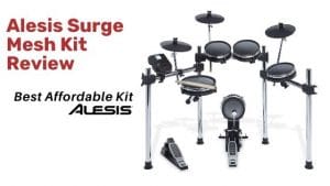 Alesis Surge Mesh Kit Review - Best Affordable Kit